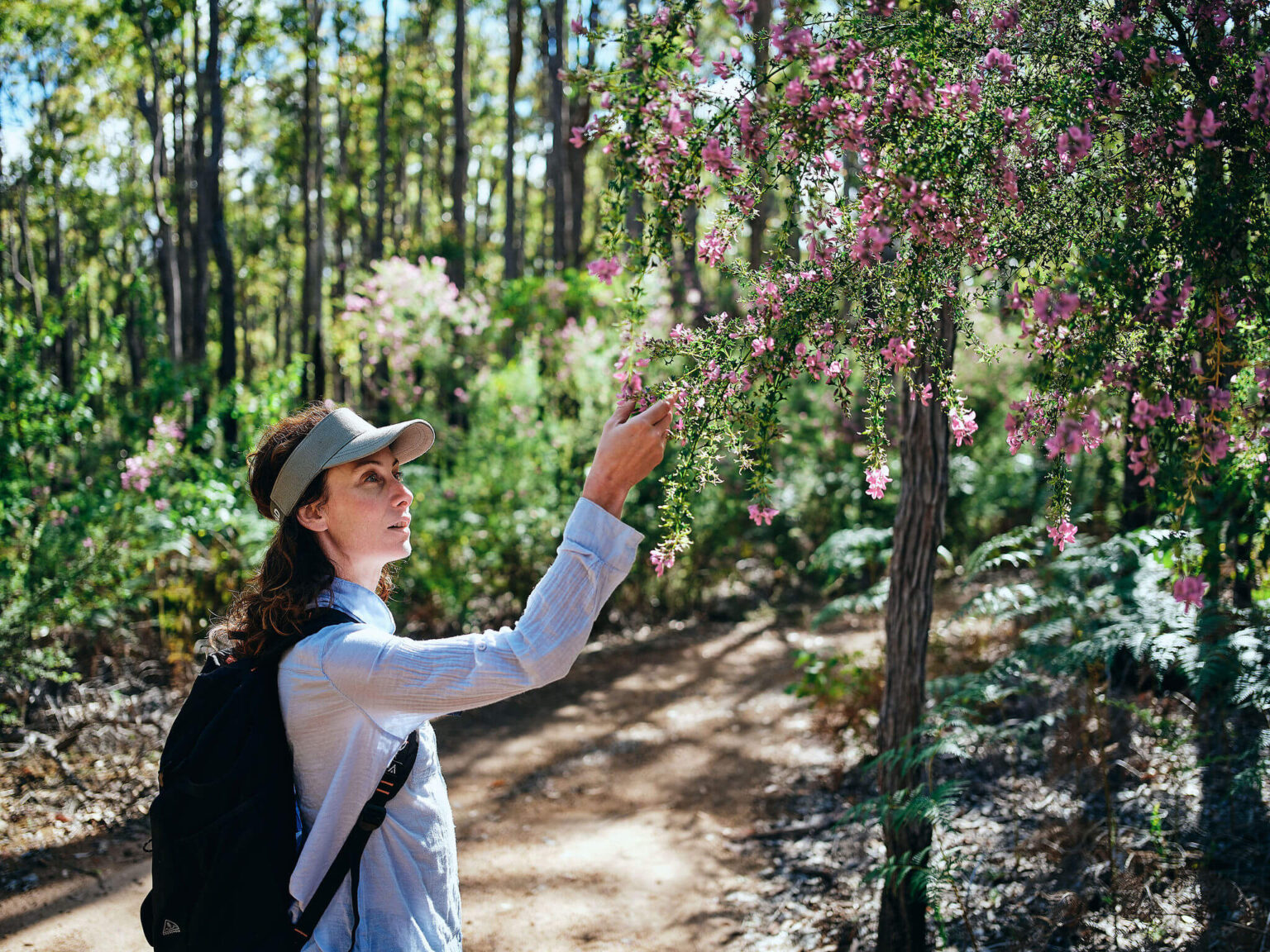 What to See and Do in Collie During Birak Season - Collie River Valley