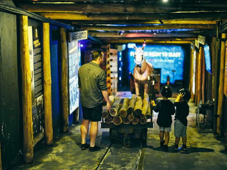 Underground Coal Mine Experience - Collie River Valley