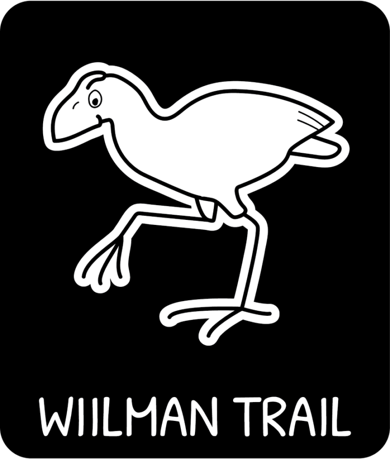 Wagyl Biddi Bike Trails - Collie River Valley