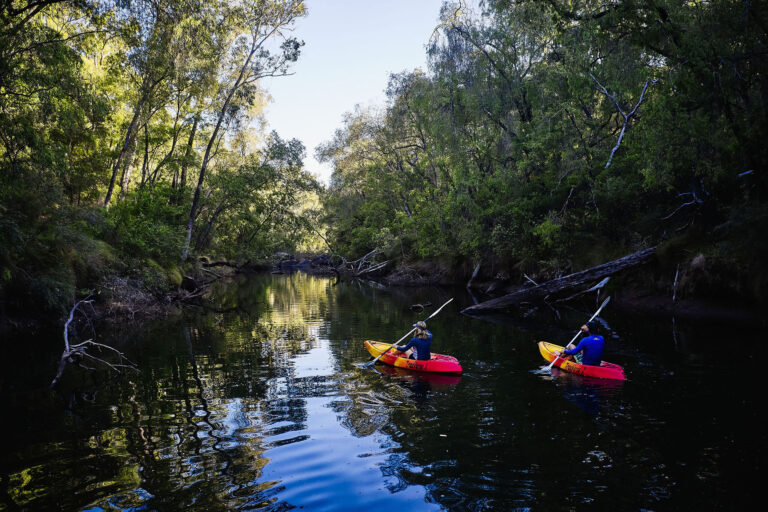 Collie Trails named in WA’s 2025 Top Trails List! - Collie River Valley