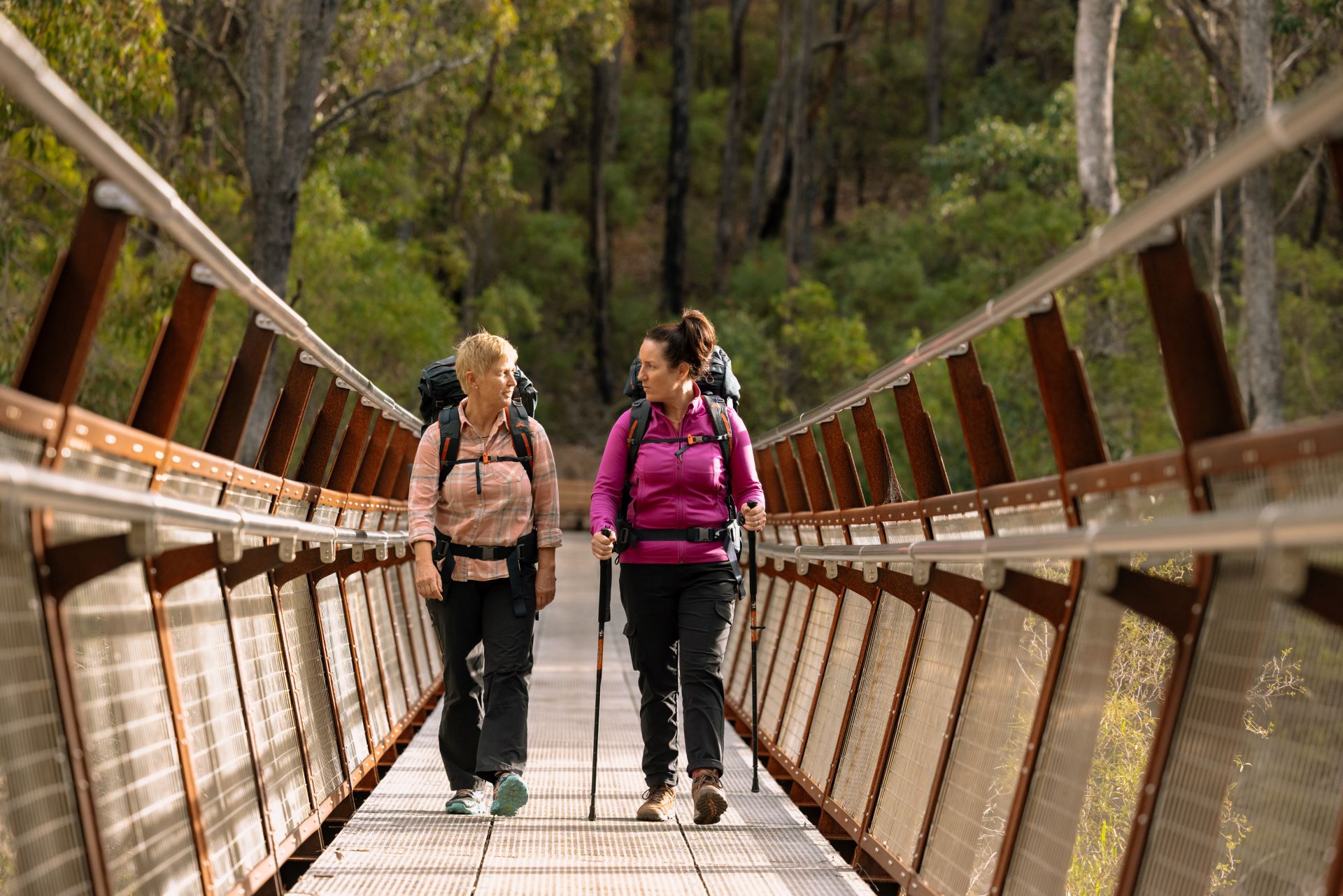 Black Diamond Lake - Collie River Valley