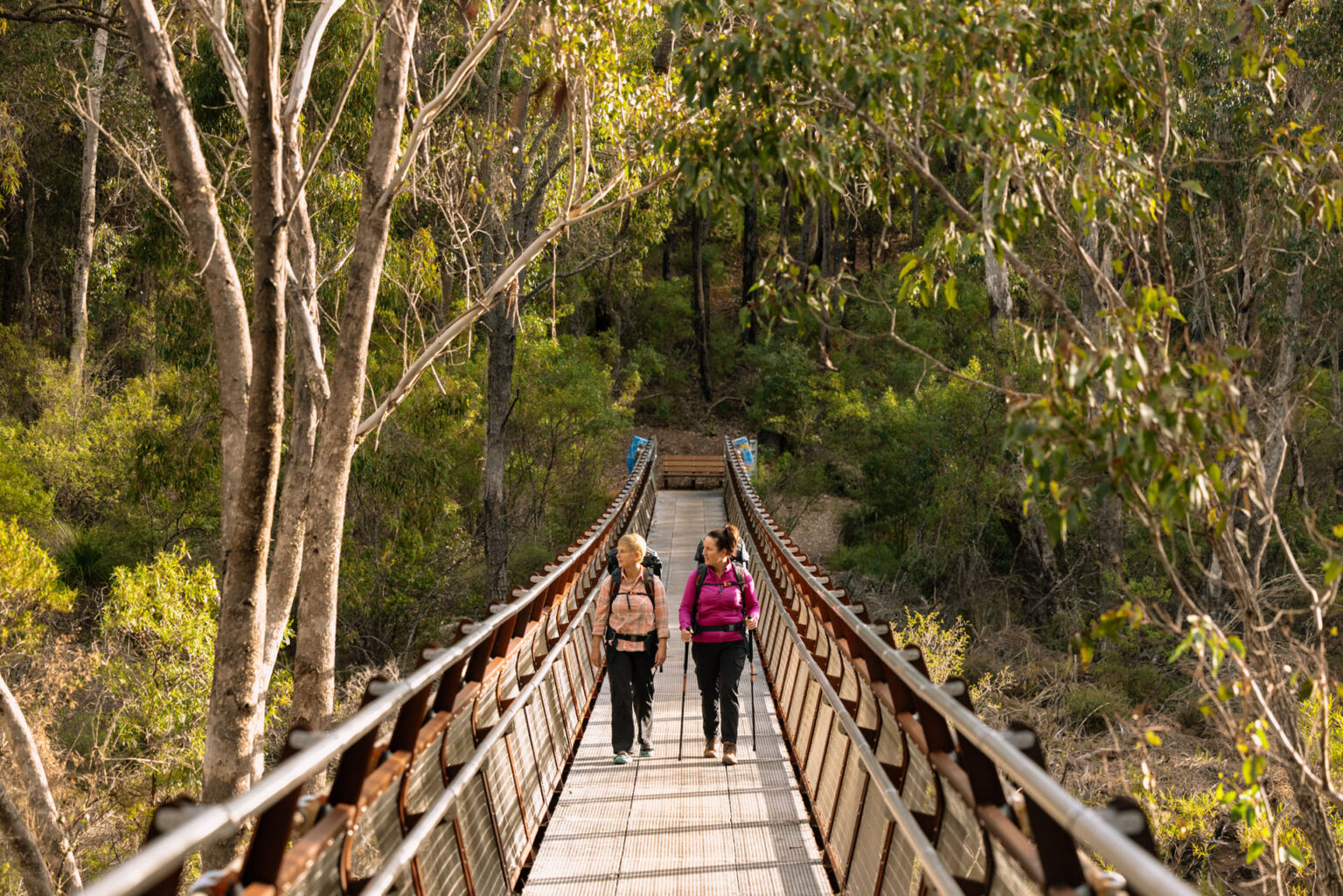 Home - Collie River Valley