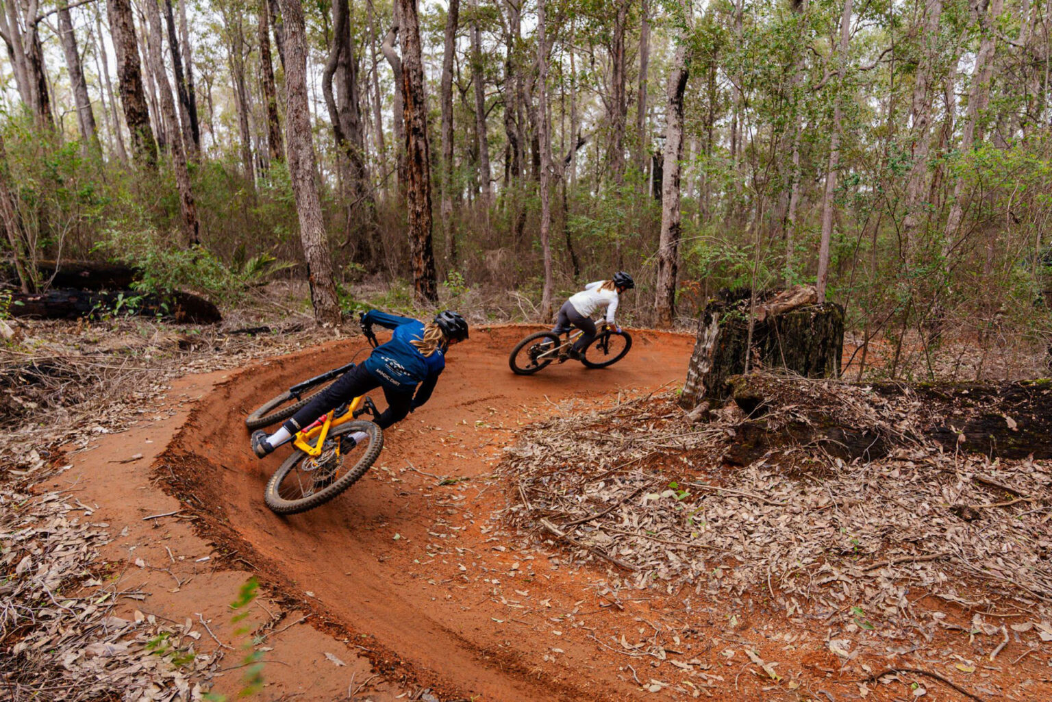Home - Collie River Valley