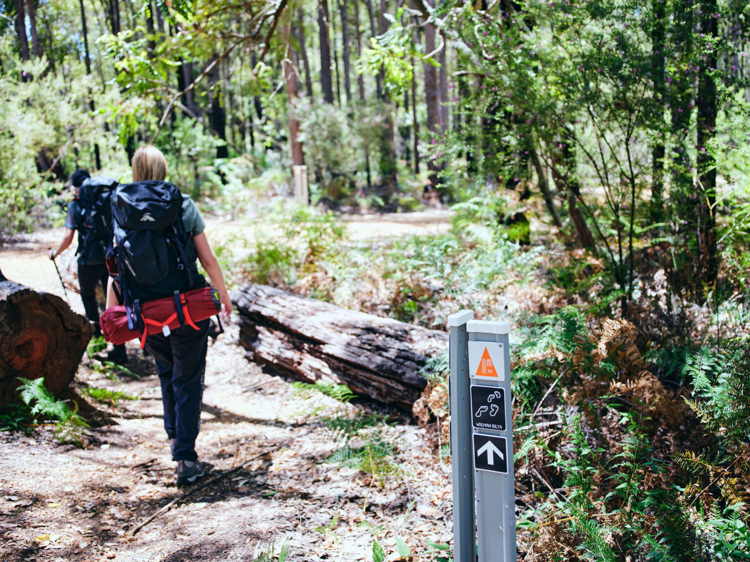 6 Best Trails in Collie - Collie River Valley