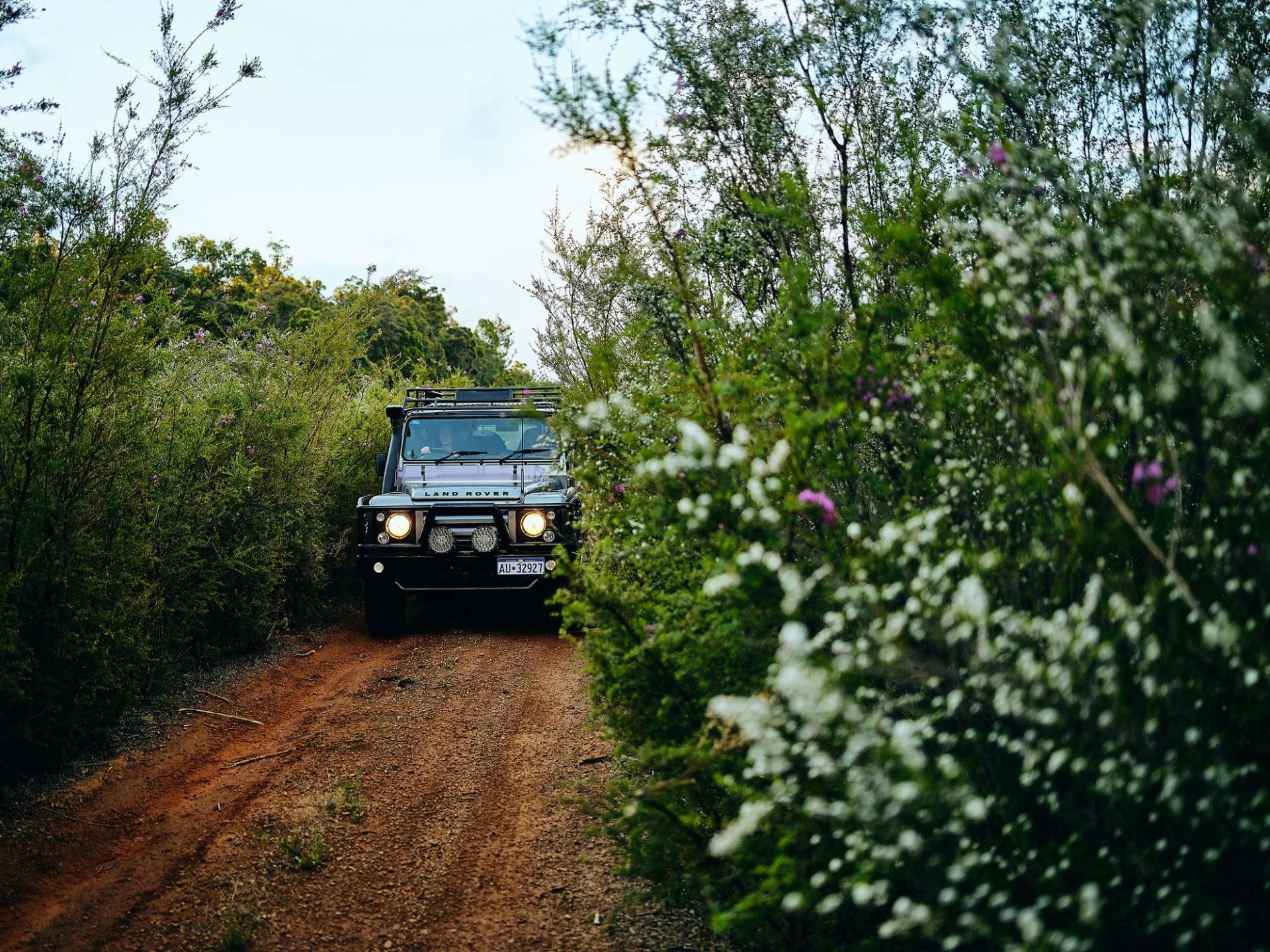 Maps & Guides - Collie River Valley