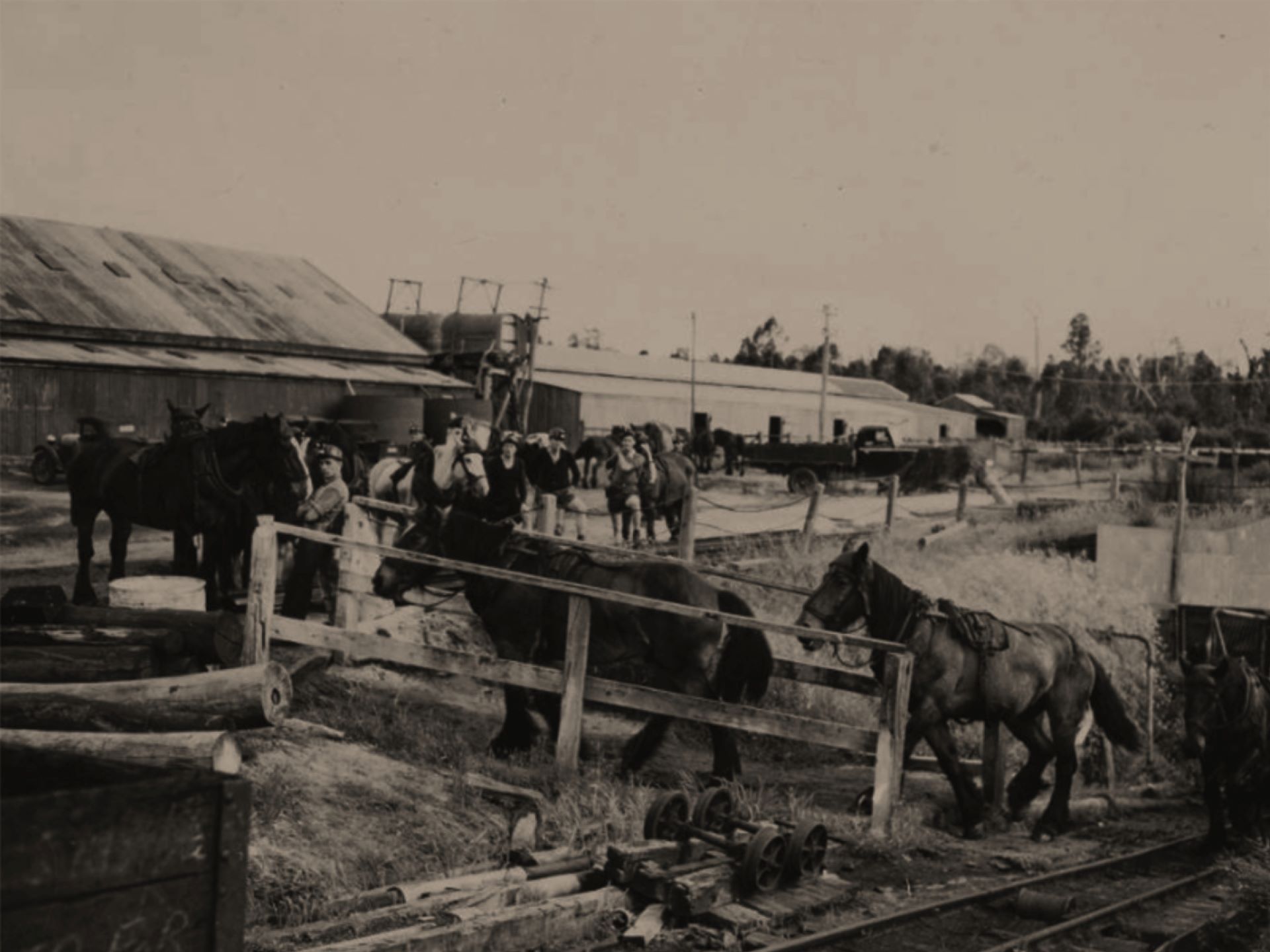 Discover the history and heritage of Collie - Collie River Valley